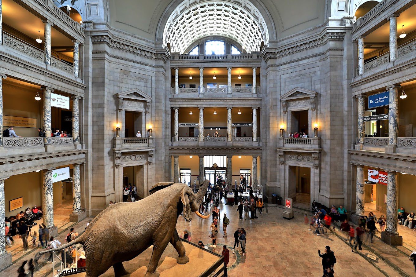 Discovering Washington, DC: 5 Unforgettable Activities to Embrace ...